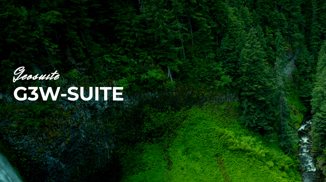 GIS3W: Persistent XSS in G3WSuite 3.5 – CVE-2023-29998 – YLabs